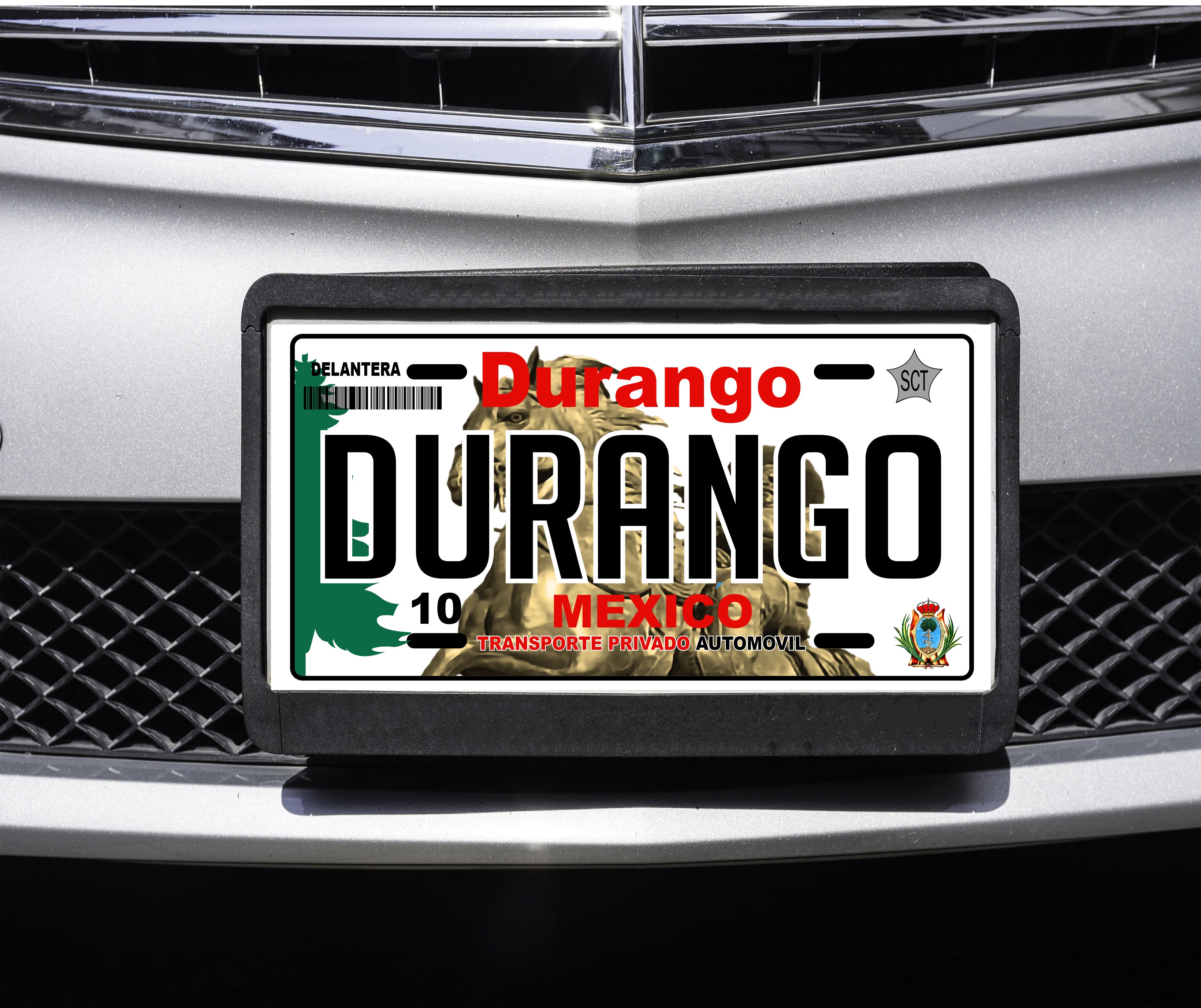 Durango Mexico Car Plate Aluminum License Plate Mexican Mexico DGO Pla ...