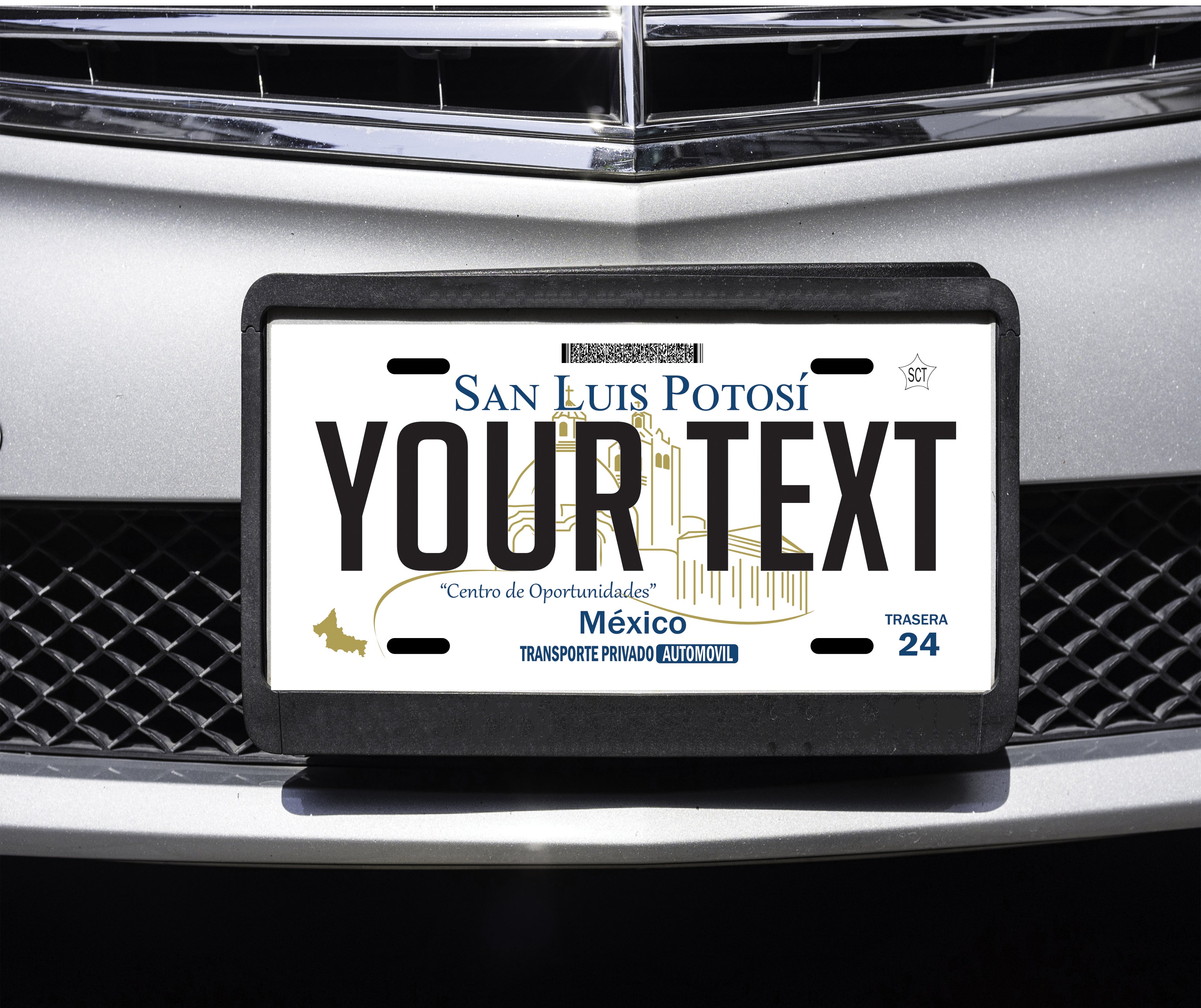 San Luis Potosi Car Plate aluminum License Plate Mex SLP Mexico State ...